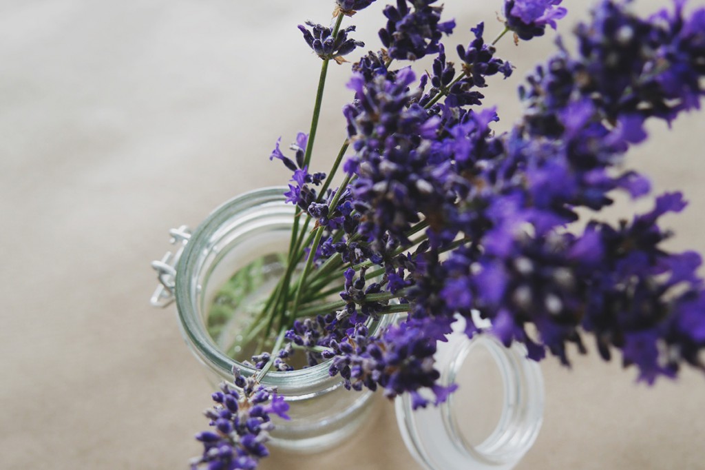 Zuki – Creative WordPress Magazine Theme